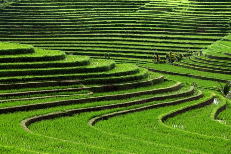 Bali Indonézia látnivalók - Bali utazás, nyaralás - Irány Ázsia